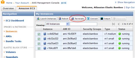 How Do I Shut Down My Elastic Instances If I Have Restarted My Bamboo
