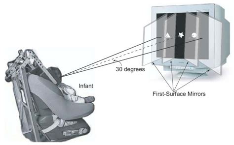 Schematic Representation Of Stimulus Presentation System For Infants Download Scientific Diagram