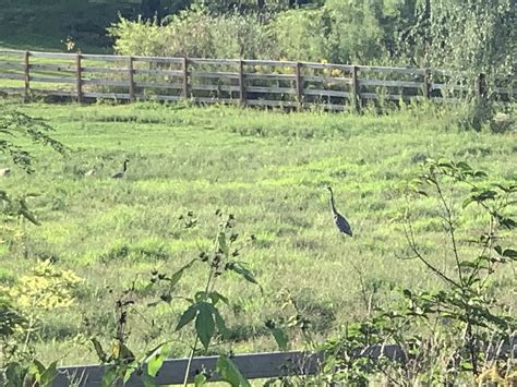 Untitled Sd70mac Flickr