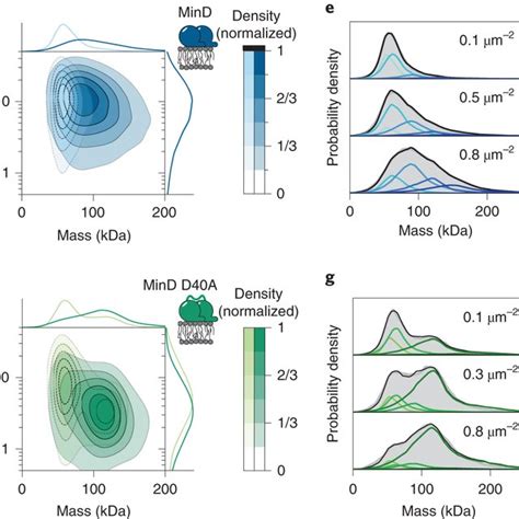 Standard Mirau Type Interference Objective Types For High Download Scientific Diagram