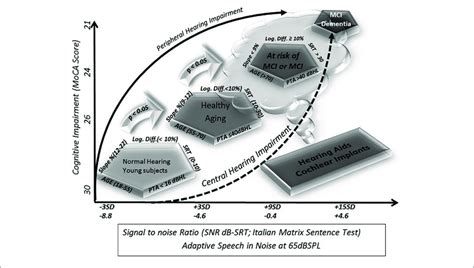 Schematic Representation Of Cognitive Decline As Defined By Different