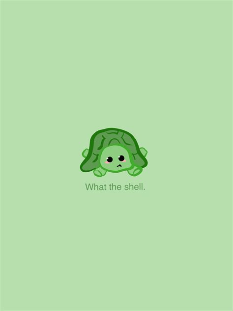 What The Shell Cute Turtle Background Turtle Wallpaper Turtle