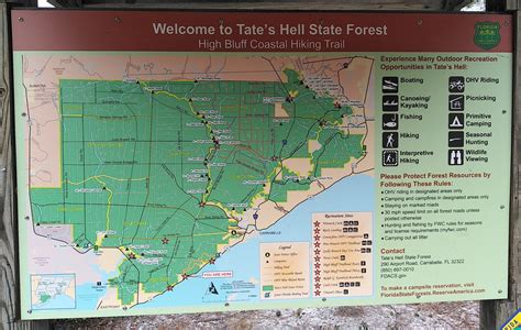 Tates Hell State Forest Lepzard Blog