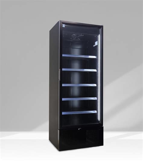 Vertical Glass Door Display Freezer Golden Chef