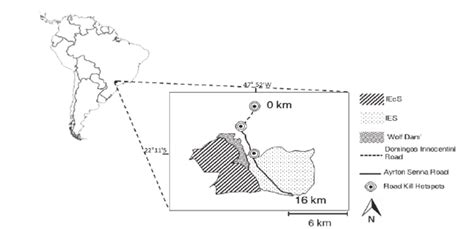 Roadkill Hotspots In A Protected Area Of Cerrado In Brazil Planning Actions To Conservation
