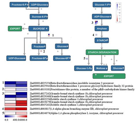Comparative Transcriptome Analysis Of Differentially Expressed Genes