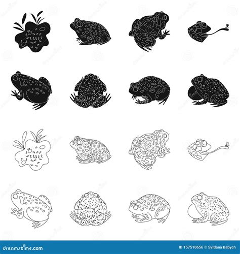 Isolated Object Of Wildlife And Bog Symbol Set Of Wildlife And Reptile Stock Vector