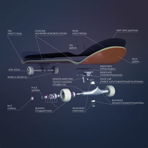 Skateboard Parts Cgtrader