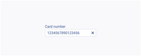 Guidelines For Using The Maskedtextbox Component Design System Kit