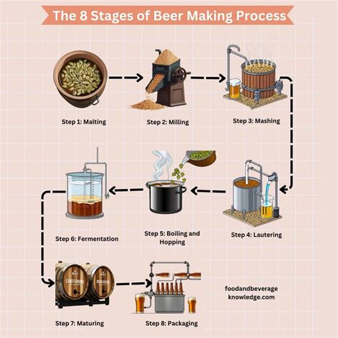 8 Stages Of Beer Making Process Edward Maria Dass