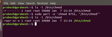 what to do when you can t chmod chmod