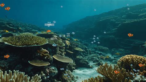 Fish VS Fish Local Multiplayer Fish Battle Game By Flammableshrimp