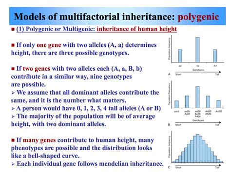 Multifactorial Inheritance