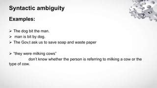 Ambiguity Examples In Literature