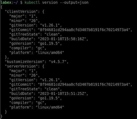 Kubernetes Client And Server Version Kubernetes Troubleshooting Dev
