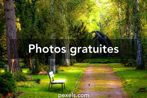 300 000 Nature Background Banque Dimages Et Photos Libres De Droit