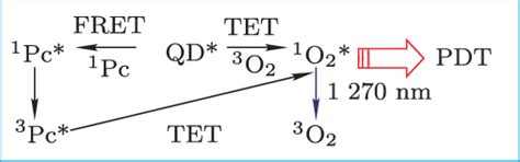 13 Schematics Of The 1 O 2 Generation In Qd Based Pdt Systems Image