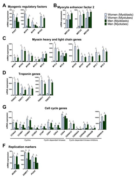 Pdf Sex Influences Dna Methylation And Gene Expression In Human