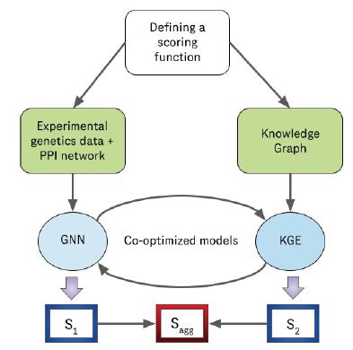Unsupervised Co Optimization Of A Graph Neural Network And A Knowledge Graph Embedding Model To