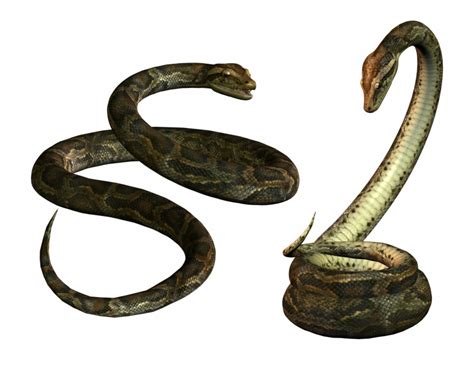 Python Png Snake So Then I Google How To Install Python Modules And I Came Across Easy Install