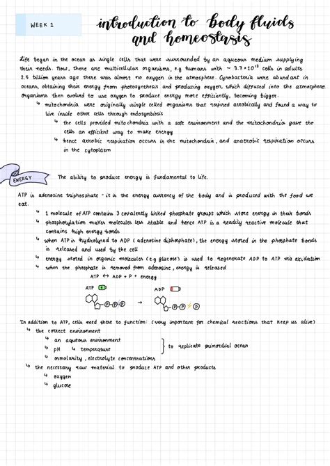 Body Systems Notes Bios1170 Body Systems Structures And Functions