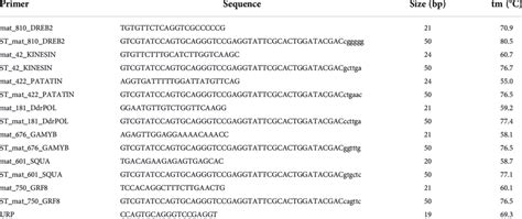 Primers Designed For Stem Loop Mirnas Amplification Download