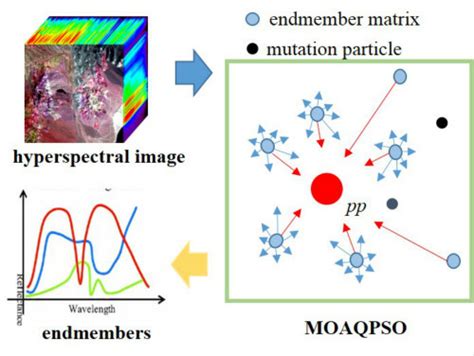 A Mutation Operator Accelerated Quantum Behaved Particle Swarm