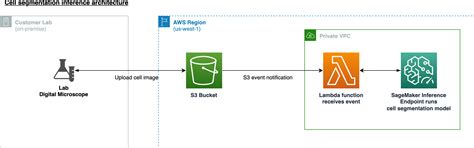 Github Aws Samplesamazon Sagemaker Cell Segmentation Workshop This Workshop Outlines A