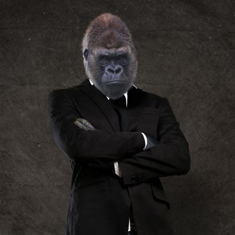 Matthew Kolakowski On Linkedin Dataarchitecture Technology Datascience