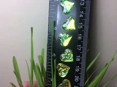 Scaffolded Math And Science Graphing Grass Linear Equations Project