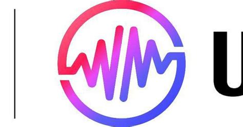 위메이드 가처분 인용 기대감 주가와 위믹스 동반 상승