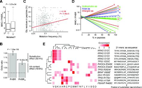 Amino Acid Sequence Context Analysis A Comparison Of Phbr Wt Values