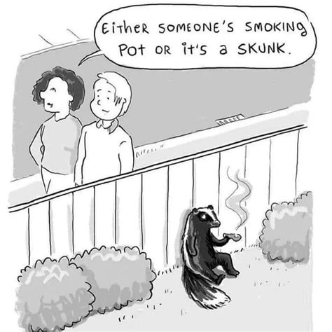 Why Does Weed Smell Skunky Bud Billions Your Gateway To Cannabis