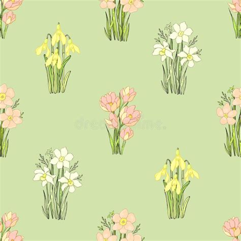 Spring Wildflowers Isolated Vector Seamless Pattern Spring Wildflowers Botanical Background