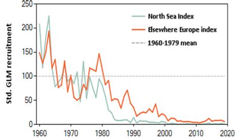 Protection And Sustainable Use Of The European Eel Sustainable Eel Group