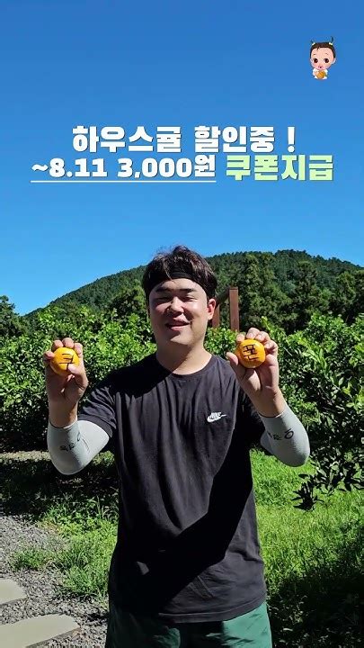 무더위 날려드립니다 제주도 감귤 무더위 귤 청년농부 제주 Youtube