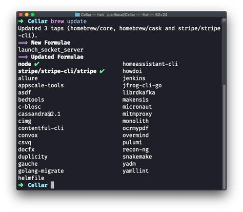 comprehensive guide to installing and using homebrew package manager