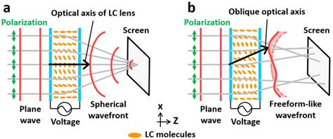 A Schematic Illustration Showing The Ideal Wavefront Modulation Of A Download Scientific