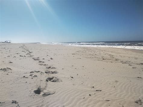From Aveiro Barra Beach Lighthouse And Costa Nova Guided Tour Travel