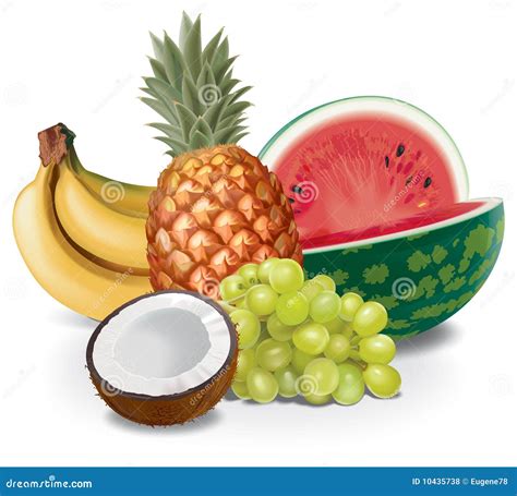 Fruits Composition Stock Vector Illustration Of Delicious 10435738