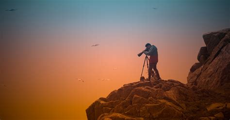 Seasonal Shifts Capturing Landscapes Through The Year