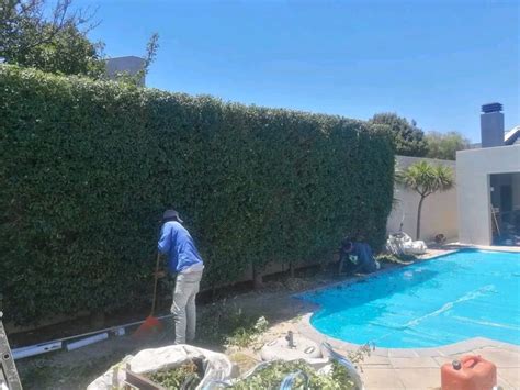 Godfrey Tree Fellers Tree Fellers For More Than Years