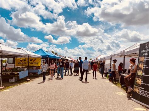 D Arcy Norman D Arcy Norman