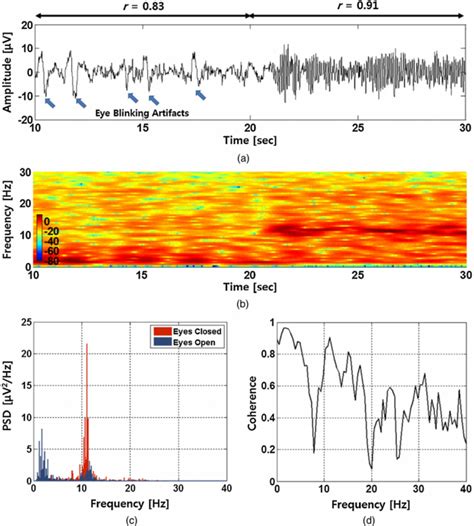 Sensor How To Test An EEG Electrical Engineering Stack Exchange