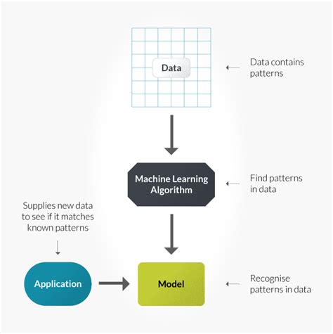 A Testers Role In The Machine Learning Process TestLodge Blog