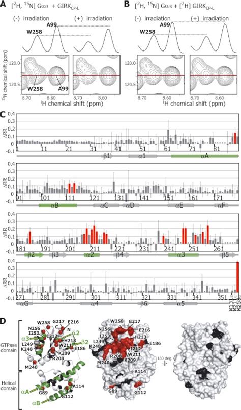 Structural Basis For Modulation Of Gating Property Of G Protein Gated