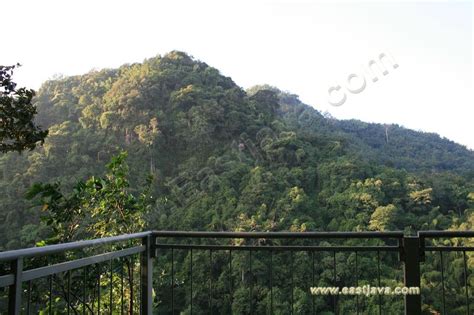 Wana Wisata Air Terjun Coban Baung Pasuruan Jawa Timur