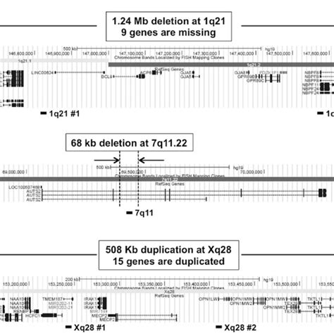 the relevant section of copy number variants cnvs by array
