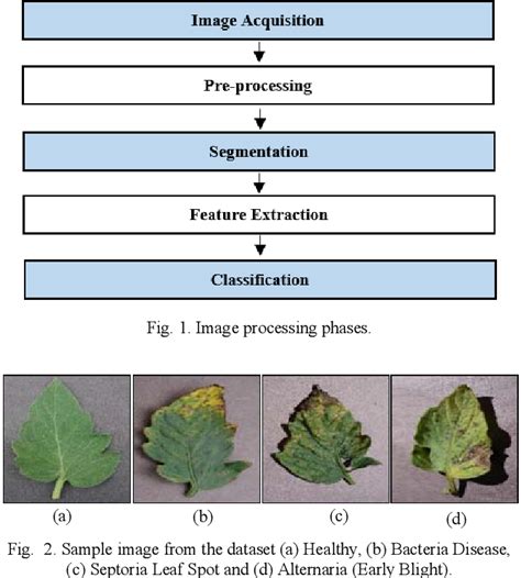 Figure 1 From Plant Leaf Diseases Identification Using Convolutional Neural Network With