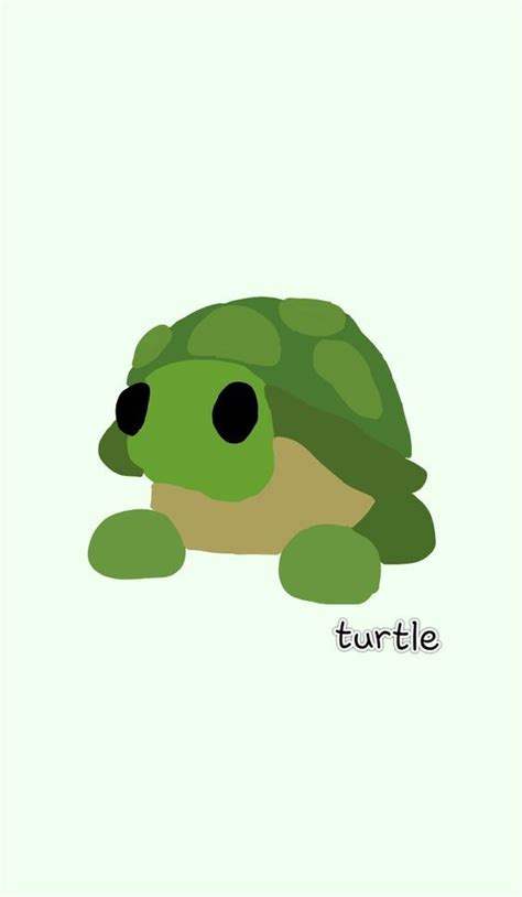 Turtle Drawing Turtle Drawing Adopt Idea Cute Cartoon Wallpapers
